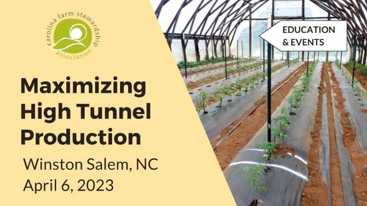 Maximizing High Tunnel Production | N.C. Cooperative Extension