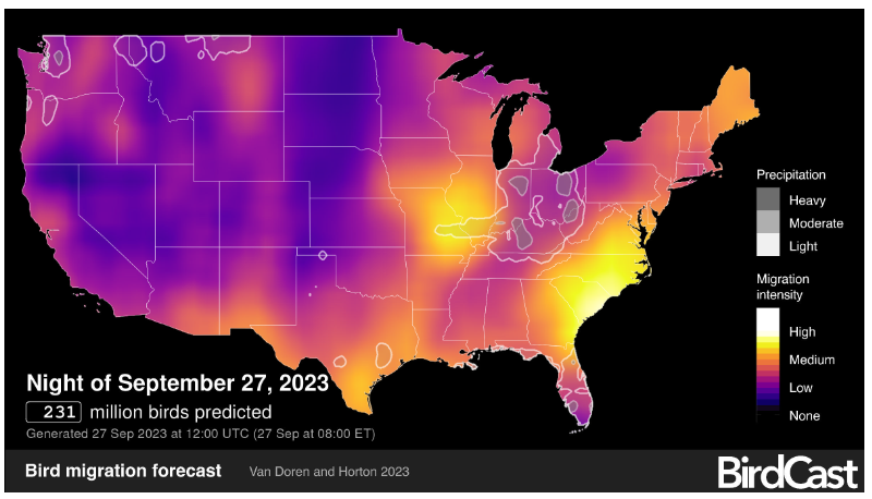 Safe Passage: Friendly Skies for Fall Bird Migration | N.C. Cooperative ...